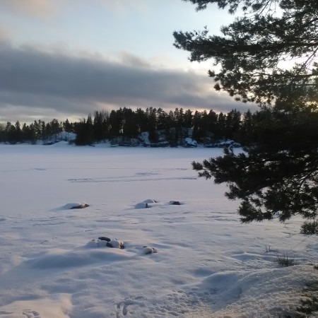 Taiteilijoiden retkipaikalla – Seittelinreitti ja "Pikku-Koli" eli ...
