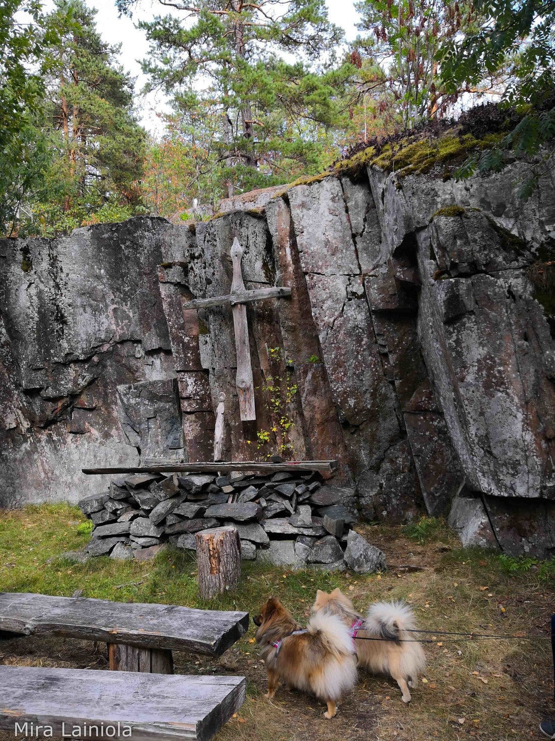 Vartiosaari - koko perheen retki lumoaviin luontoseikkailuihin ...