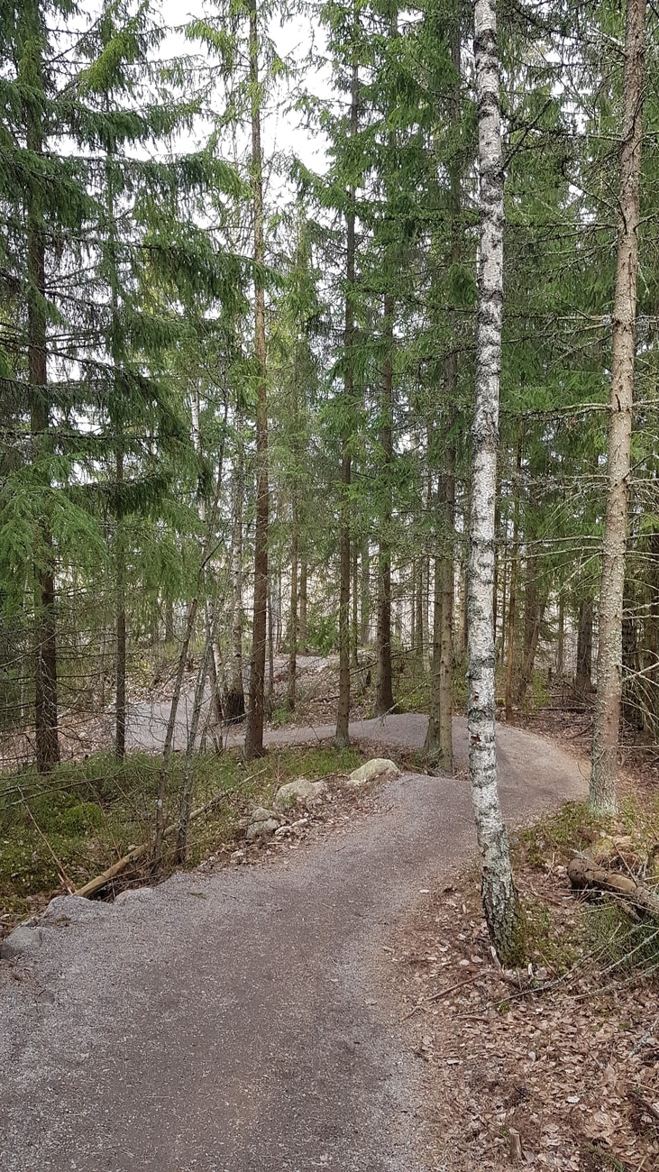 Taiteilijoiden retkipaikalla – Seittelinreitti ja "Pikku-Koli" eli ...