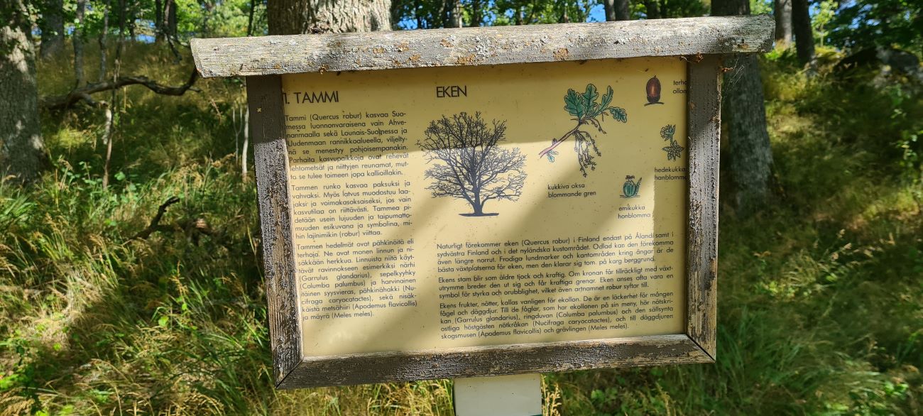 Inkoon Elisaari: luontopolku Suomen hienoimmassa tammimetsässä ...