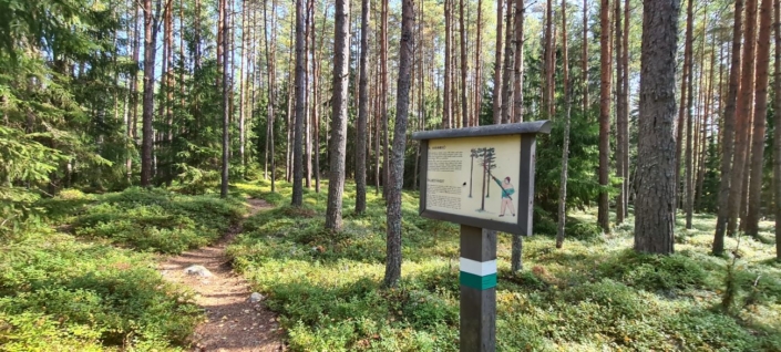 Inkoon Elisaari: luontopolku Suomen hienoimmassa tammimetsässä ...