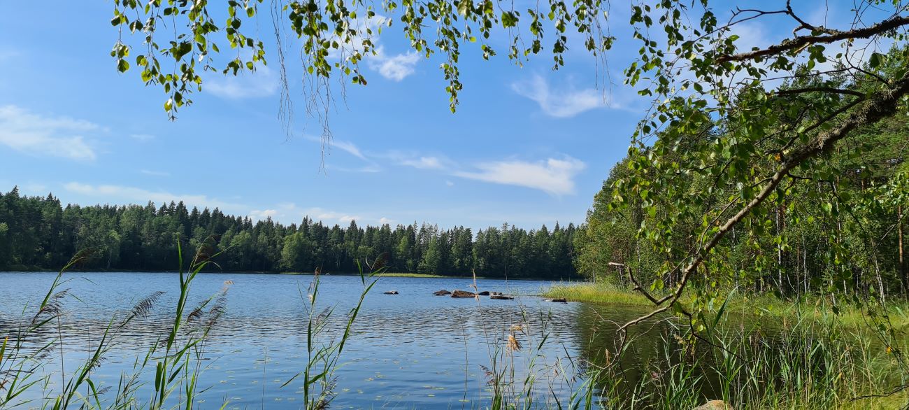 Lopen Kivisammaljärven ympäri voi kävellä siltoja ja kiviä laskien ...