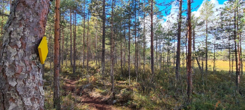 Pehmeillä suopoluilla Klaukkalassa, Isosuon luontopolulla. – Retkipaikka