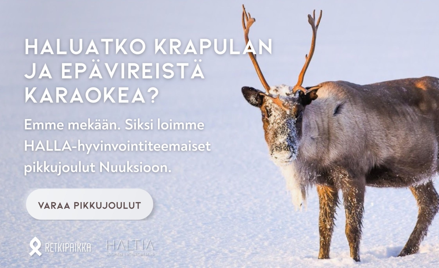 Inkoon Elisaari: luontopolku Suomen hienoimmassa tammimetsässä ...