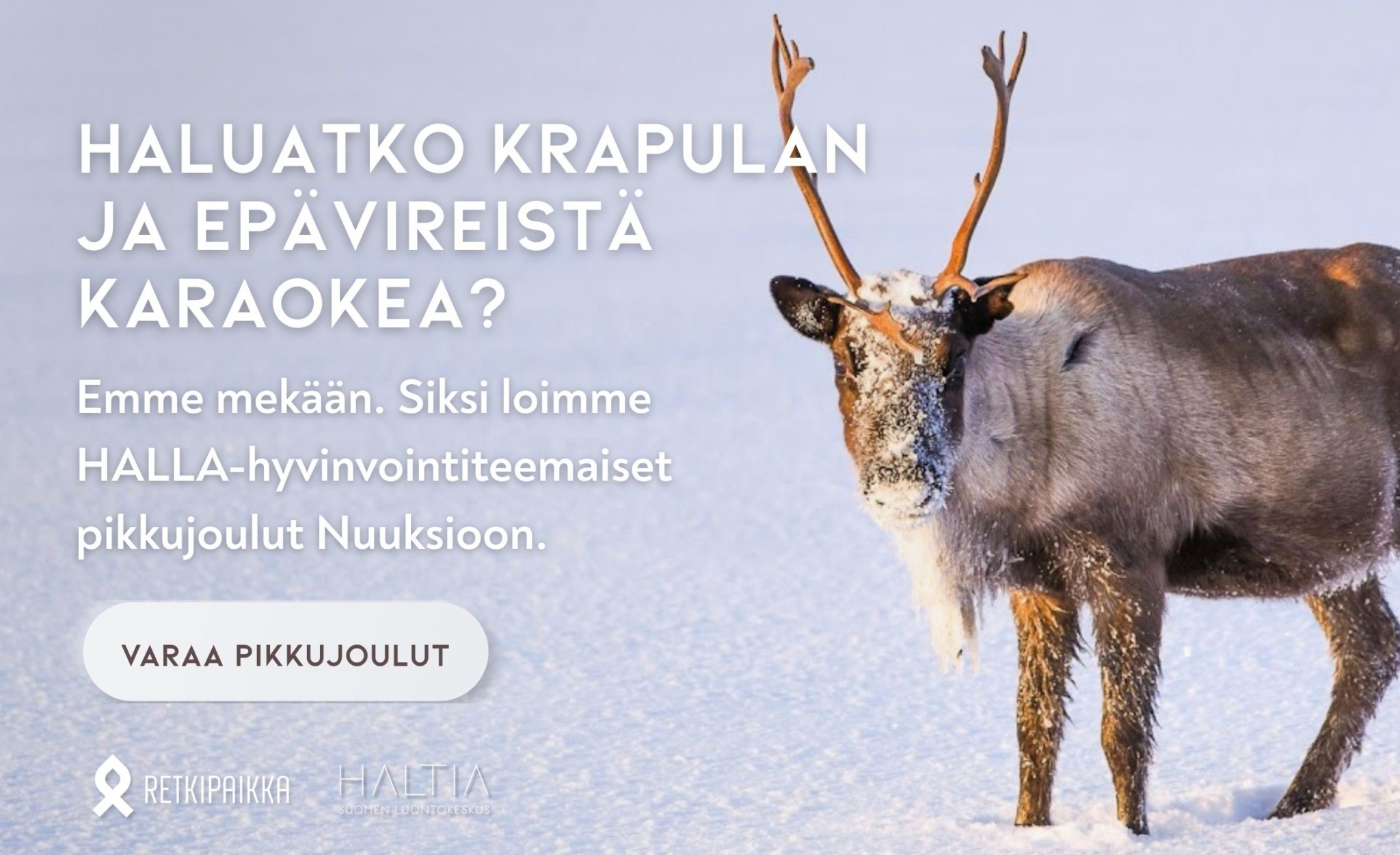 Opi tunnistamaan ainakin nämä 10 kevätkukkaa! – Retkipaikka