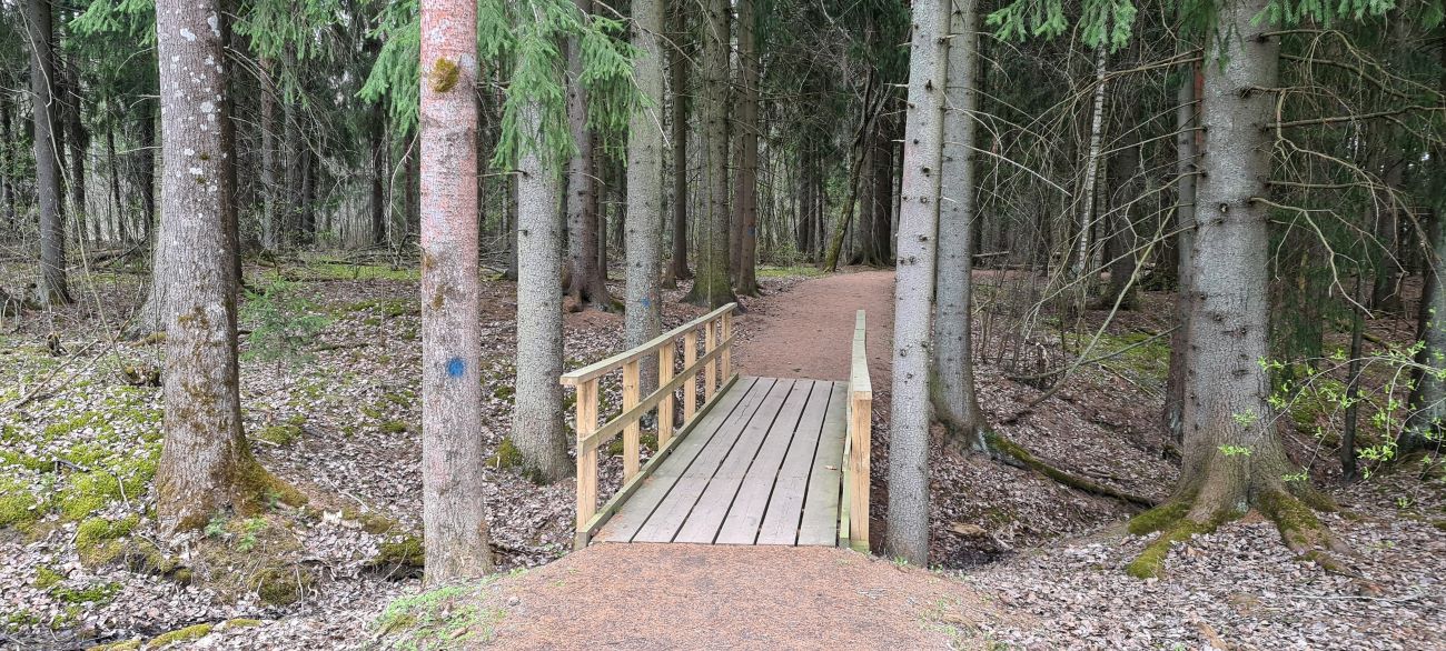Alakylän luontopolku Kouvolassa: Luonnontilaista metsää ja kuuma linja ...