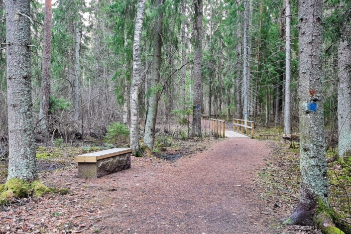 Alakylän luontopolku Kouvolassa: Luonnontilaista metsää ja kuuma linja ...