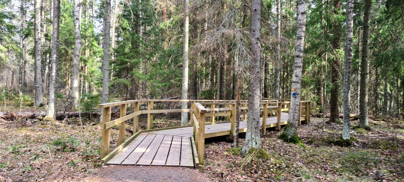 Alakylän luontopolku Kouvolassa: Luonnontilaista metsää ja kuuma linja ...