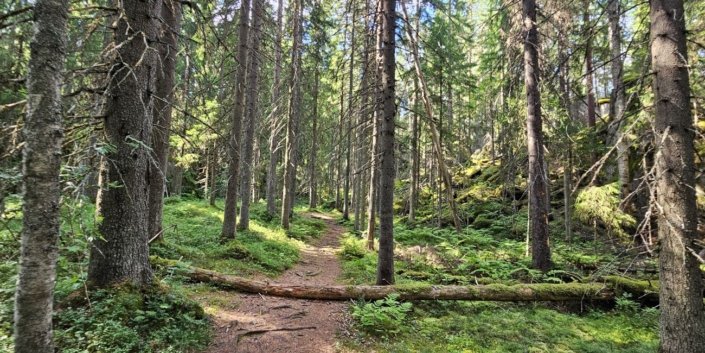 Mielenkiintoinen nimi, mielenkiintoinen paikka, Synninlukko Jämsässä ...