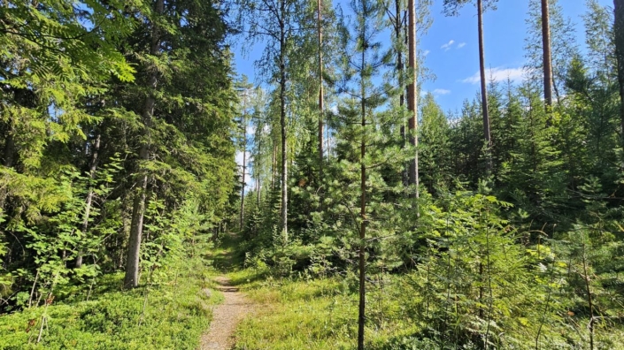 Mielenkiintoinen nimi, mielenkiintoinen paikka, Synninlukko Jämsässä ...