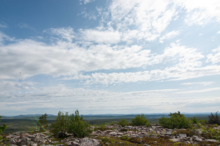 Kesäinen Salla on muutakin kuin hyttysiä: perheretki tunturien upeisiin ...
