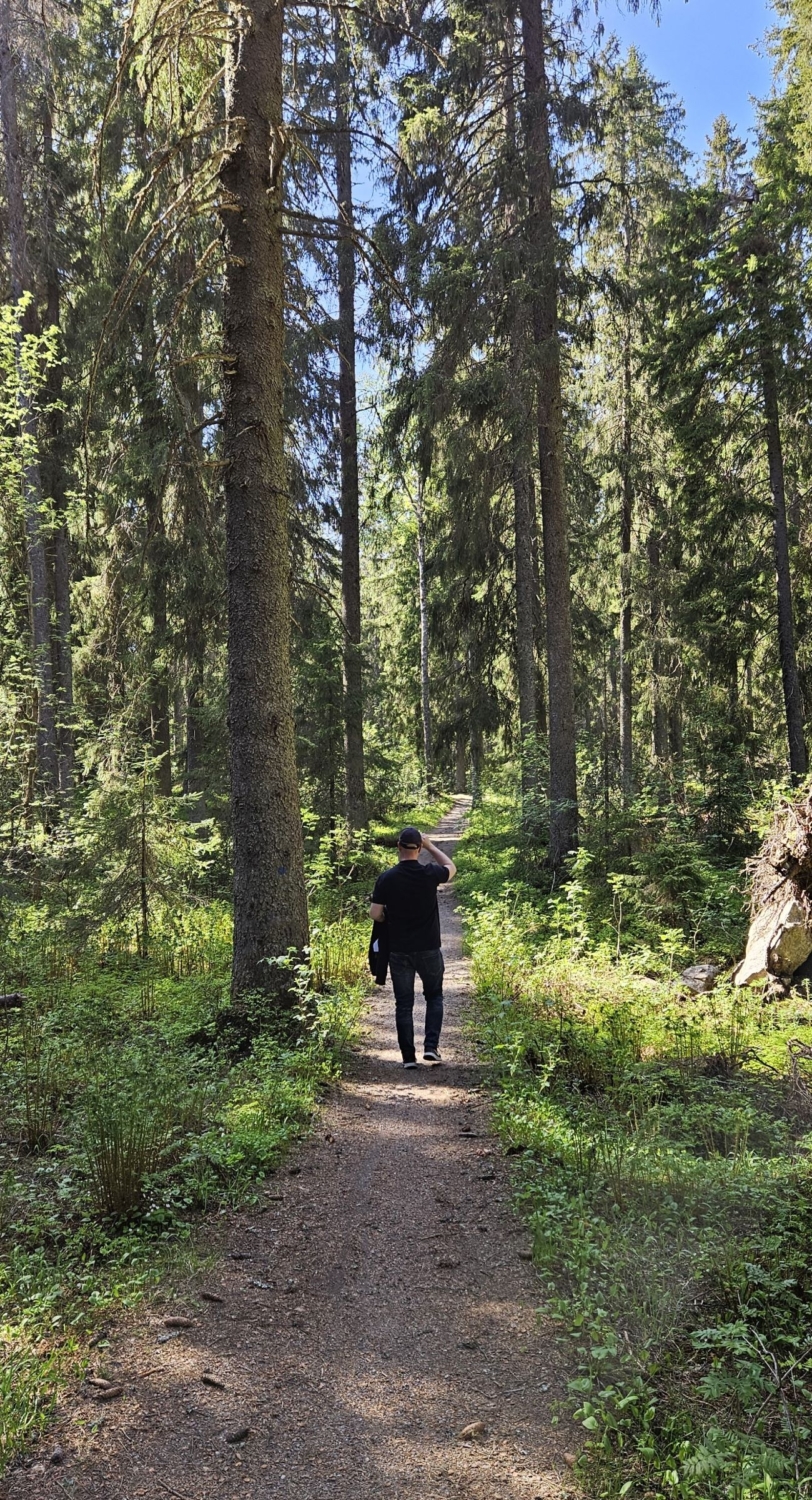 Sata metriä korkeuseroa kahden kilometrin polulla. Puijon polku ...