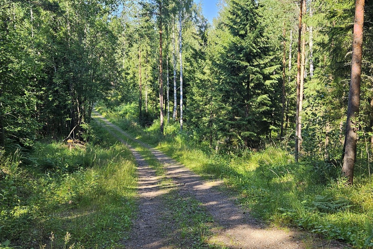 Polku, joka kulkee juoksuhaudoissa ja vie hienolle luontonäyttämölle ...