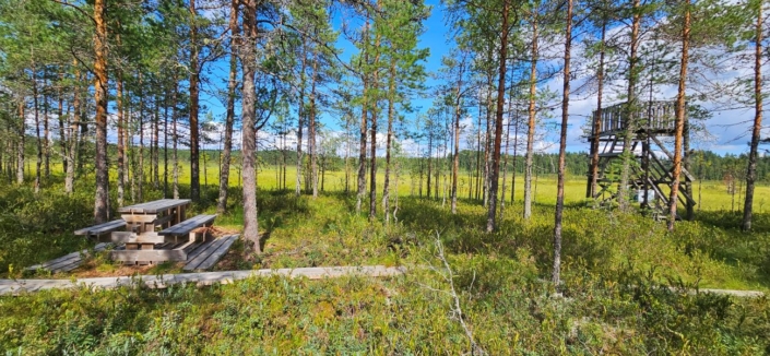 Lintujärvi, luontopolku, erinomainen kävelyreitti järviruokoviidakossa ...
