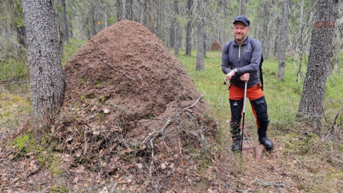 Kometon kierros, päiväretkikohde Vaara-Kainuun sydämessä Puolangalla ...