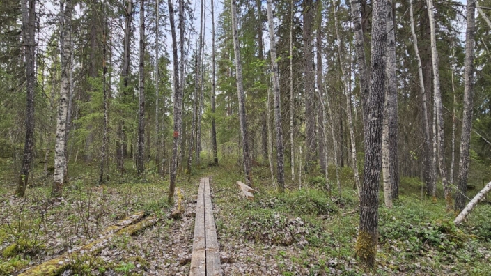 Kometon kierros, päiväretkikohde Vaara-Kainuun sydämessä Puolangalla ...