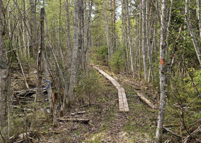 Kometon kierros, päiväretkikohde Vaara-Kainuun sydämessä Puolangalla ...