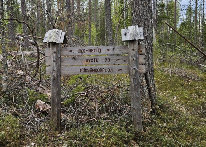Kometon kierros, päiväretkikohde Vaara-Kainuun sydämessä Puolangalla ...