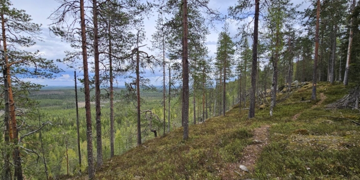 Kometon kierros, päiväretkikohde Vaara-Kainuun sydämessä Puolangalla ...