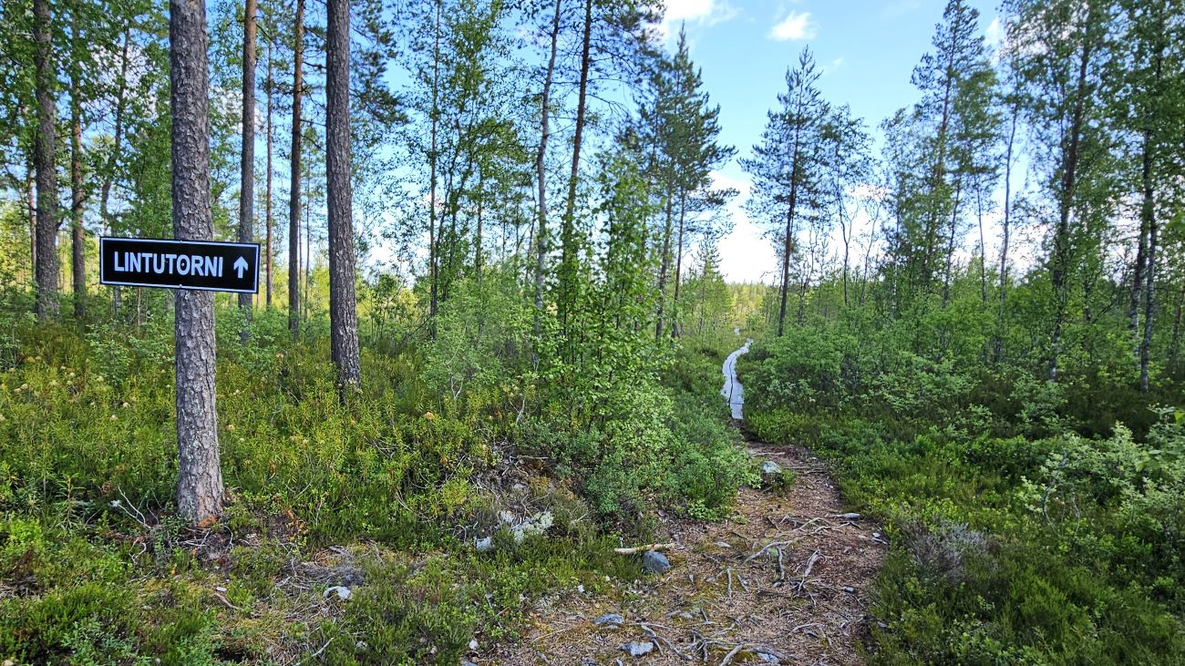 Suokävely ees ja taas, Kopsannevan luontopolulla Toholammilla – Retkipaikka